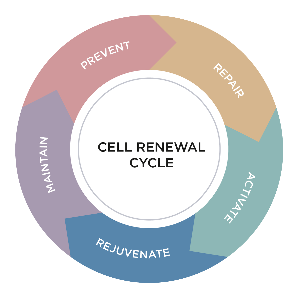 Celergen Cell Therapy - Tam-Plenus