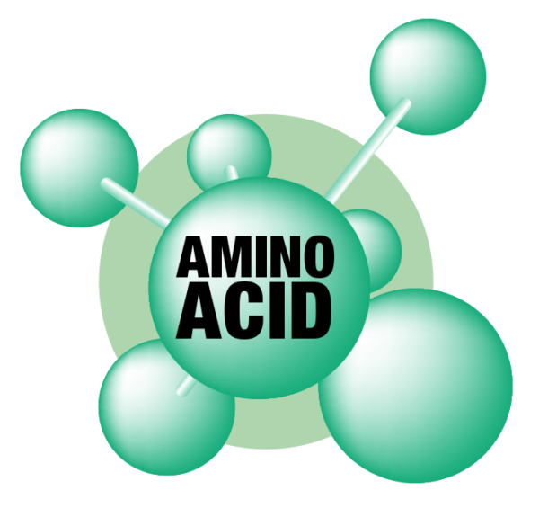 Collagen & Amino Acids
